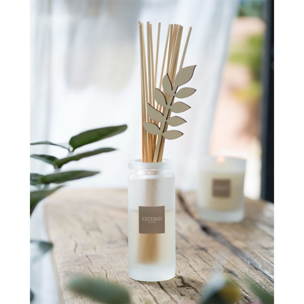 Orange Blossoms reed diffuser | Decor-by-Glassor.cz